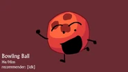 Bowling Ball/Gallery | Animatic Battle Wiki | Fandom