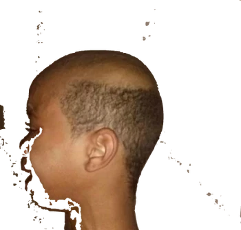 Buddy Cut Boy | Animatic Battle Wiki | Fandom