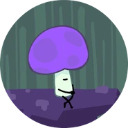 Object Fool | Animatic Battle Wiki | Fandom