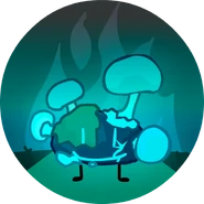 Object Fool | Animatic Battle Wiki | Fandom