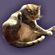 Nebula Void/Gallery | Animatic Battle Wiki | Fandom