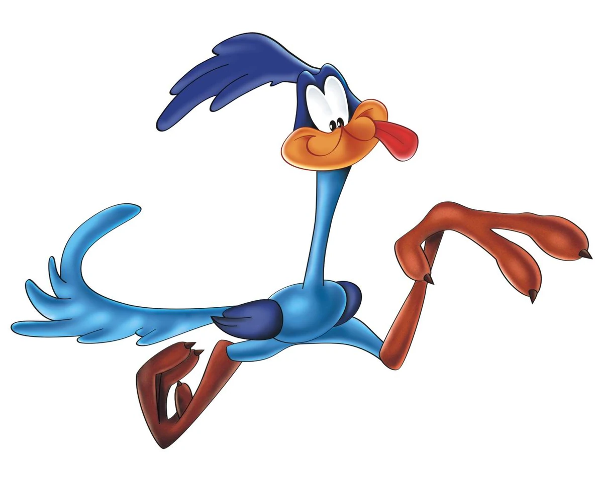 Mr. Road Runner | Animation Acres Wiki | Fandom