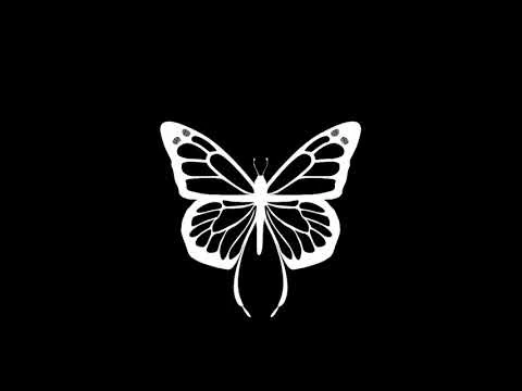 Killing Butterflies | Animation Meme Wiki | Fandom