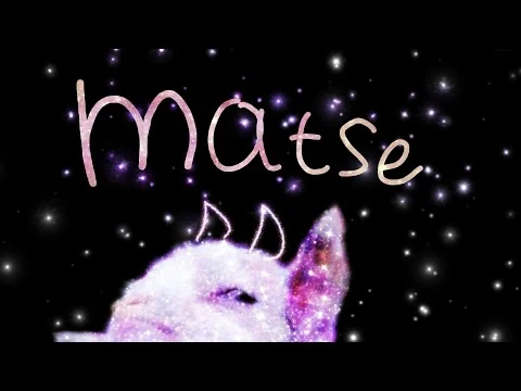 Matse | Animation Meme Wiki | Fandom