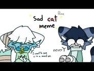 Sad Cat Dance | Animation Meme Wiki | Fandom