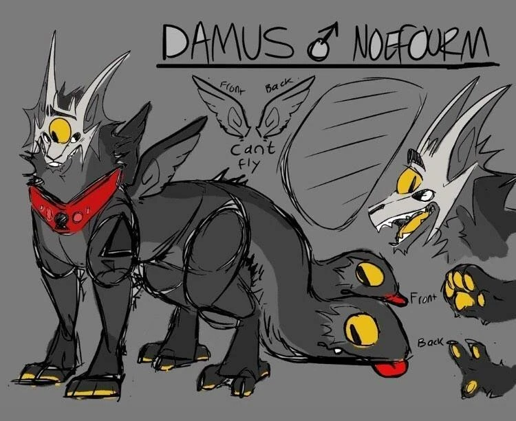 Foxi Boxi/Damus | Animation Meme Wiki | Fandom