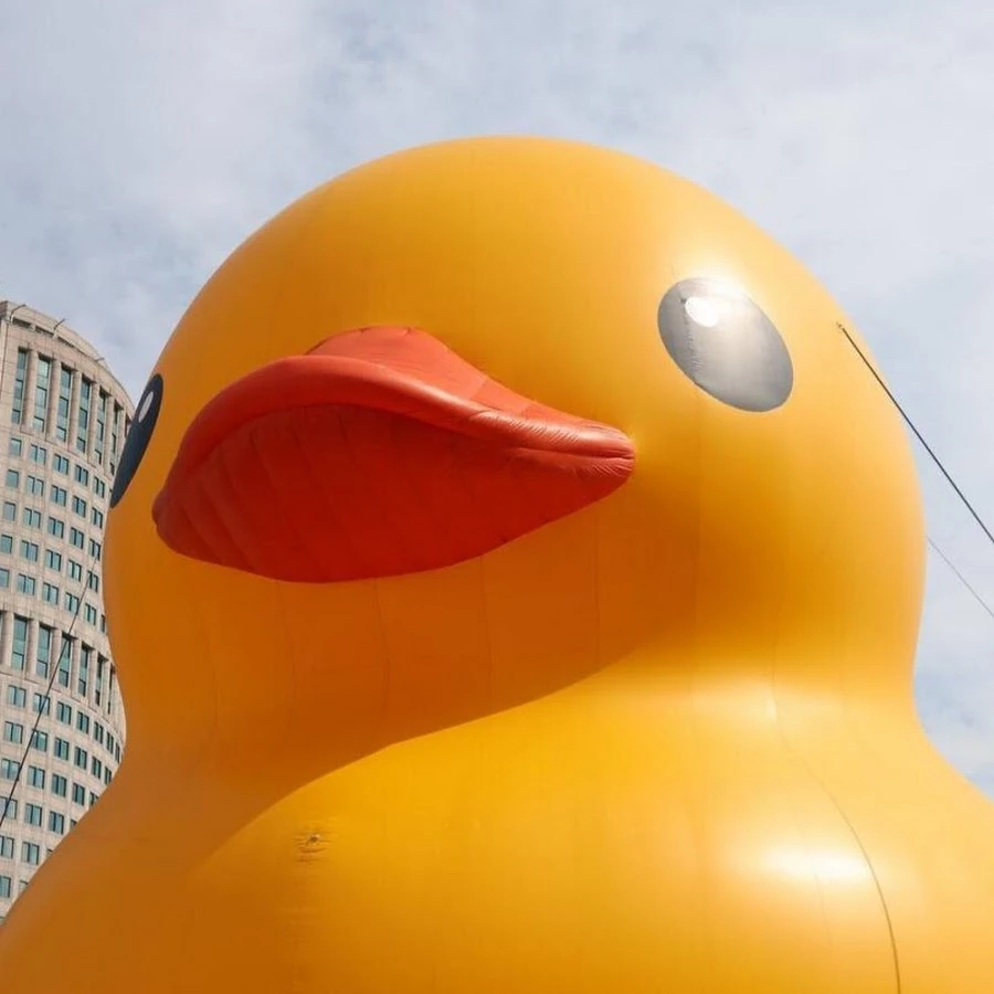 Bananas | Animation Meme Wiki | Fandom