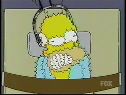 2005–2006 season | Animation Domination Wiki | Fandom