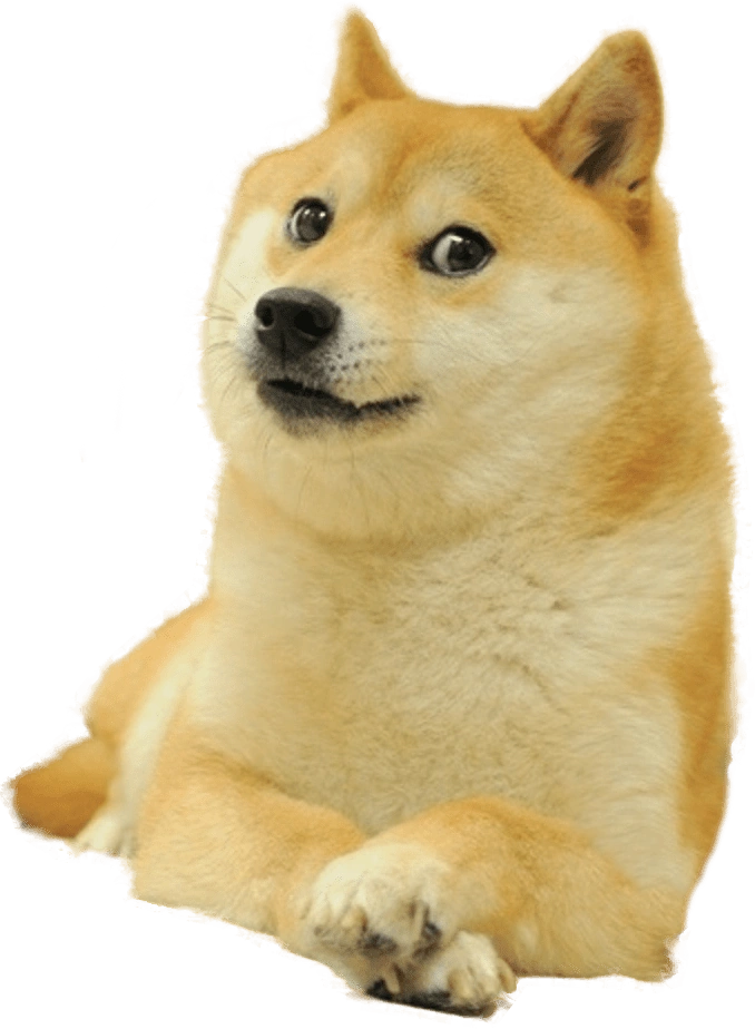 Doge | AnimationRewind Wikia | Fandom