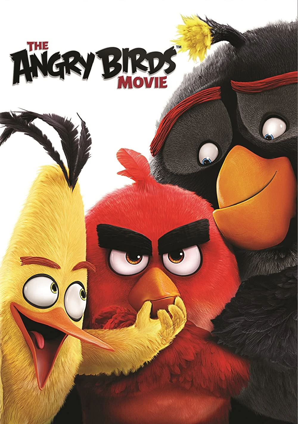 The Angry Birds Movie | Animation and Cartoons Wiki | Fandom