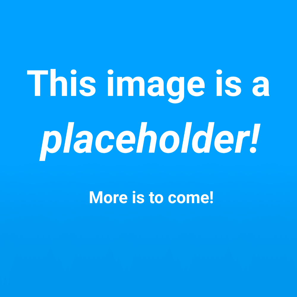 ALRIGHT | Animator's Camps Wiki | Fandom