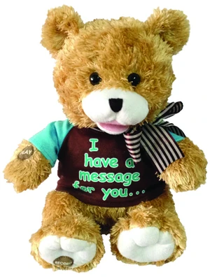 Record-A-Voice Message Bear | Animatronic Wiki | Fandom