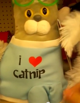 Epic kitty | Animatronic Wiki | Fandom