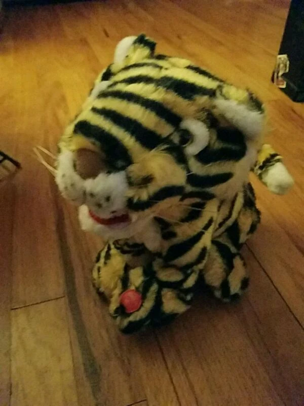 Danny Tiger | Animatronic Wiki | Fandom