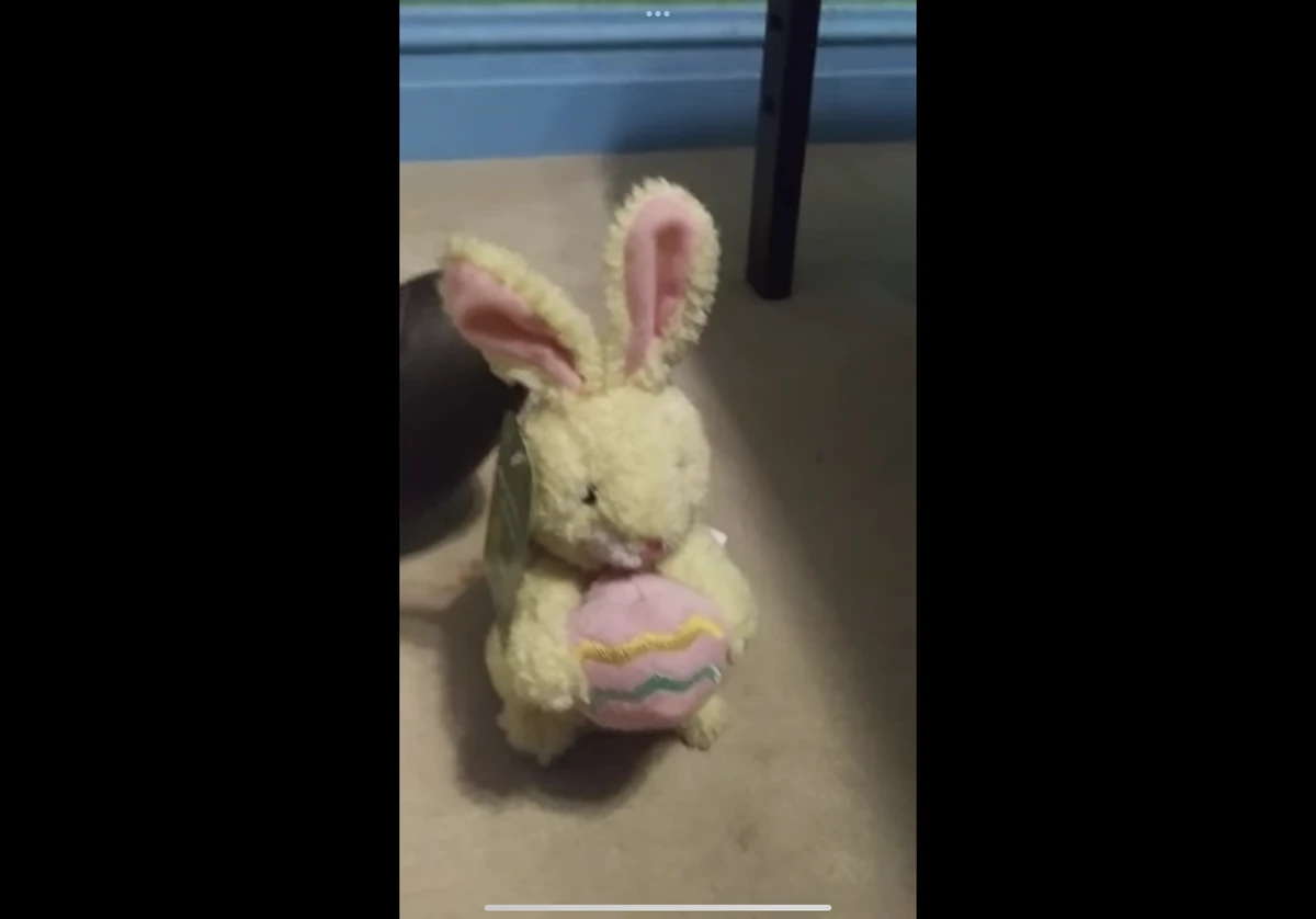 Easter Yellow Bunny | Animatronic Wiki | Fandom