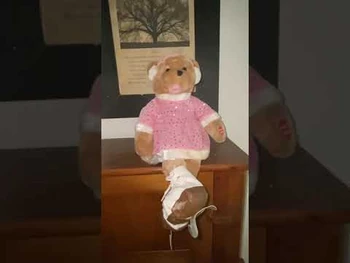 Crystal Ice Skater Bear | Animatronics Wiki | Fandom