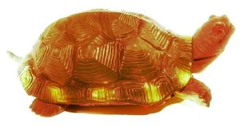 Slogo The Turtle | Animatronics Wiki | Fandom