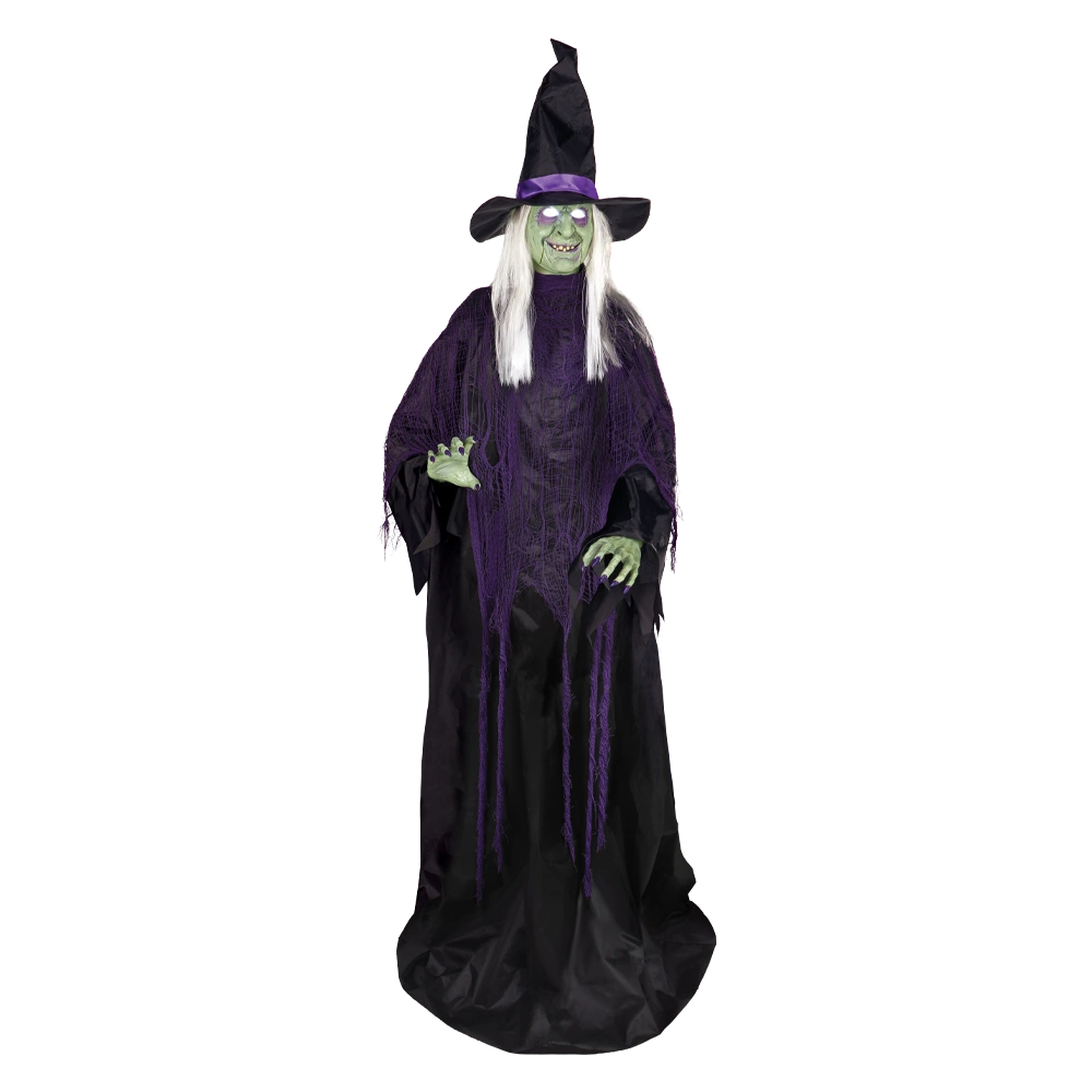 Animated LED Witch | Animatronics Wiki | Fandom