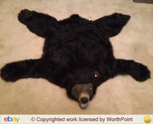 Bud the Talking Bear Skin Rug | Animatronics Wiki | Fandom