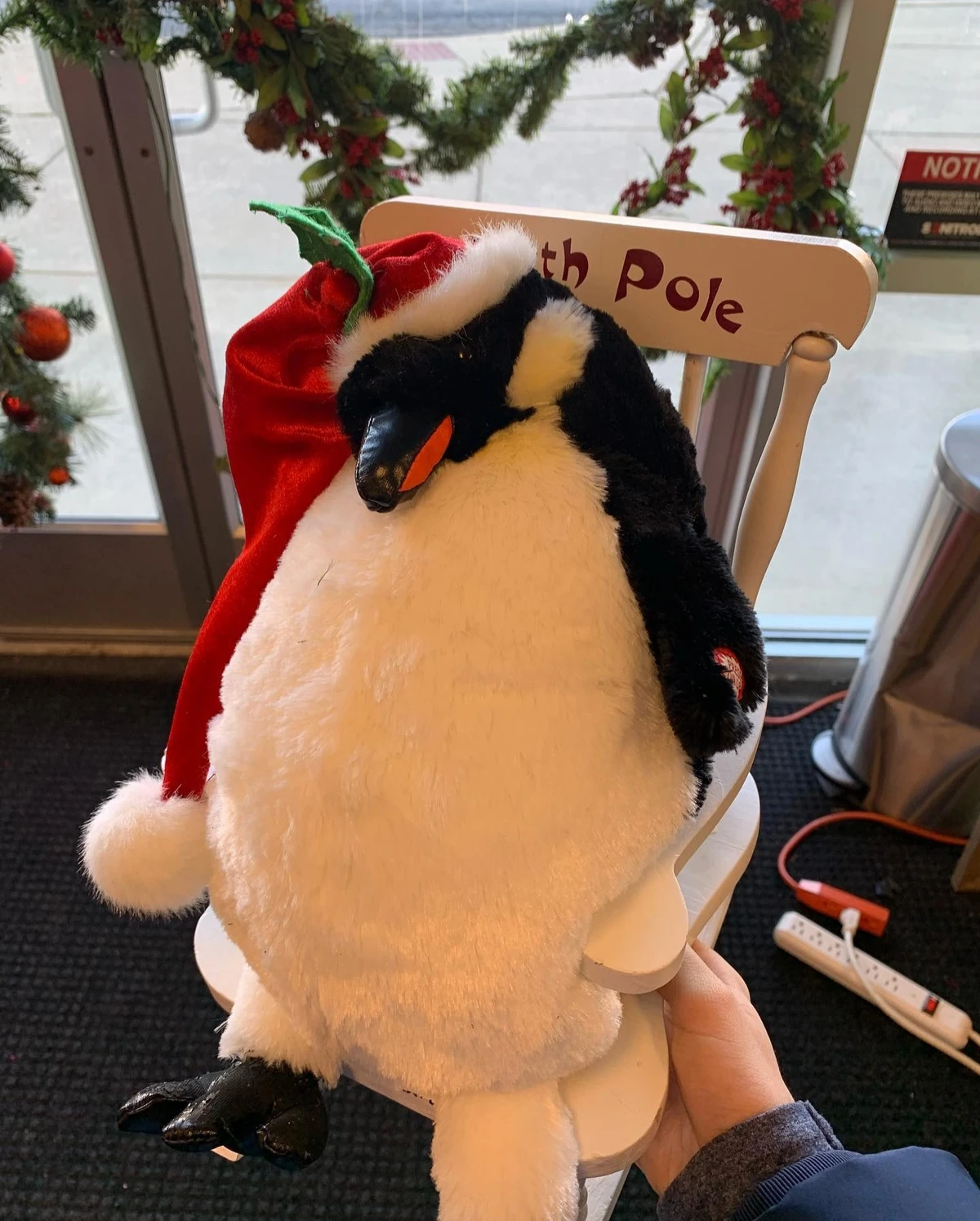 Rocking Chair Penguin | Animatronics Wiki | Fandom