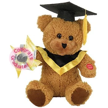 Grad Bear With LED Pinwheel | Animatronics Wiki | Fandom