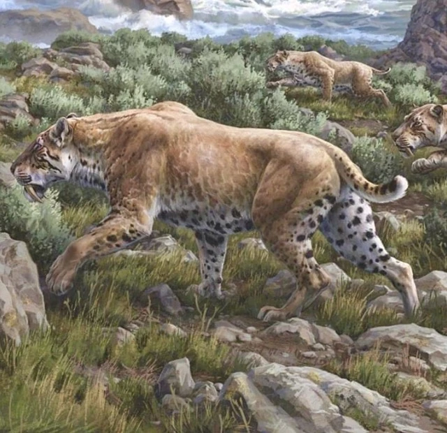 Smilodon fatalis | Wiki Animaux | Fandom