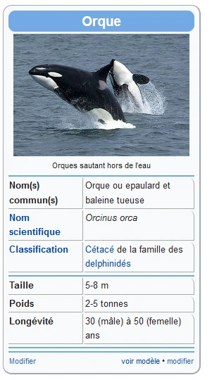 Orque | Wiki Animaux ( en français) | Fandom