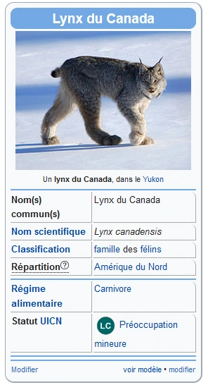 Lynx Du Canada Wiki Animaux En Français Fandom