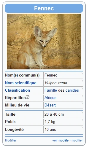 Fennec | Wiki Animaux ( en français) | Fandom