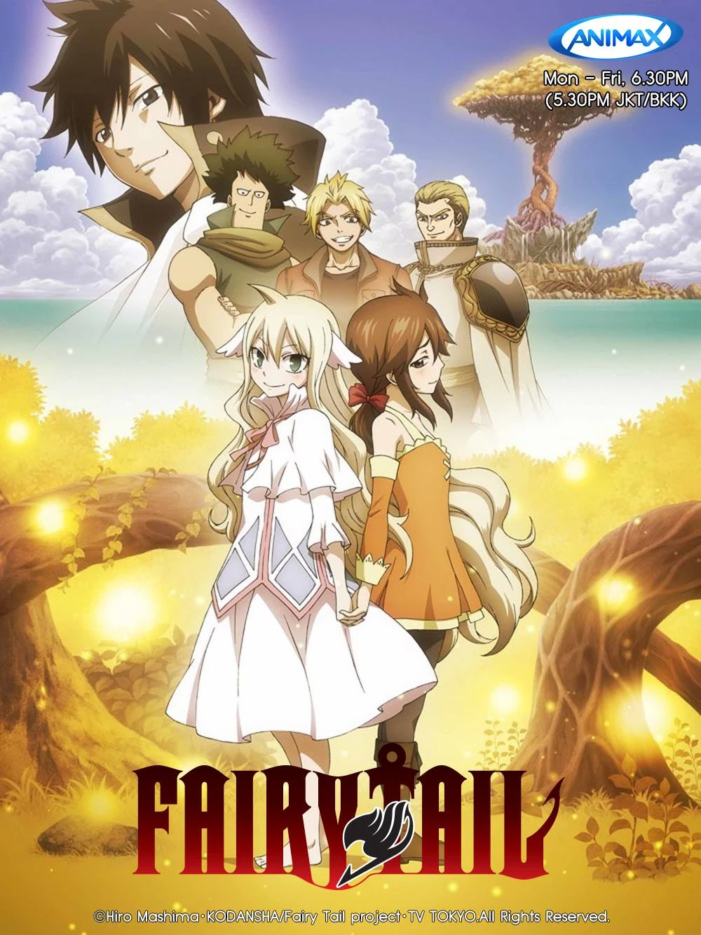 Animax Tv Fairy Tail