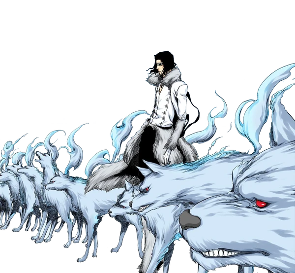 Coyote Starrk | Anime Battles Wiki | Fandom