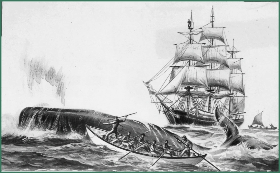 Китобои (The Wellerman) | Anime Characters Fight вики | Fandom