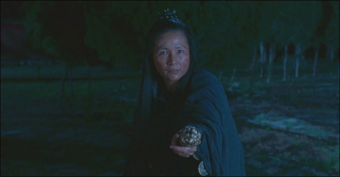 Биян Хюли | Anime Characters Fight вики | Fandom