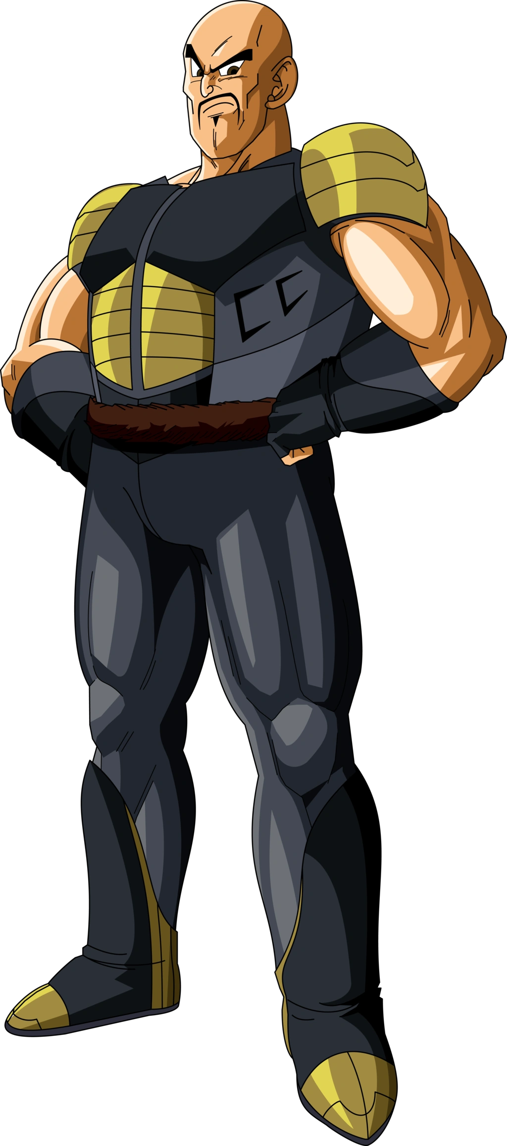 Nappa | Anime Characters Wiki | Fandom