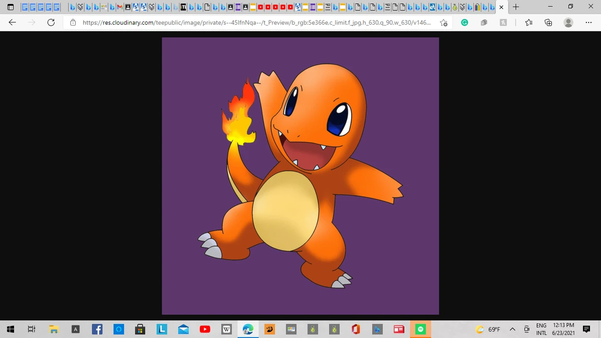 Charizard Power Levels | Anime Power levels Wiki | Fandom