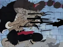 Sanji/History | Anime And Manga Universe Wiki | Fandom