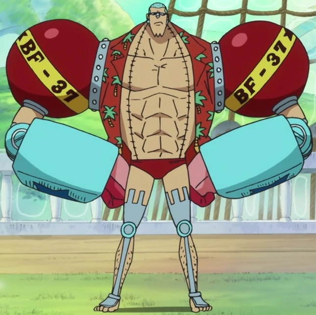 Franky | Anime And Manga Universe Wiki | Fandom