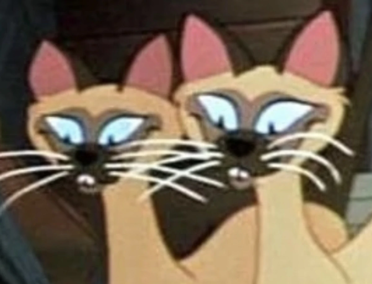 Si and Am | AnimeBroMii Fanon Wiki | Fandom