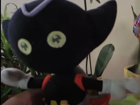 Bokkun | AnimeBroMii Wiki | Fandom