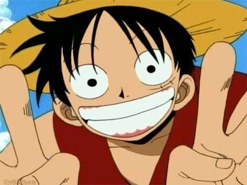 Monkey D. Ruffy | Anime Couples Wiki | Fandom
