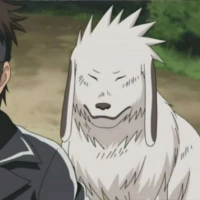 Akamaru | Anime Couples Wiki | Fandom