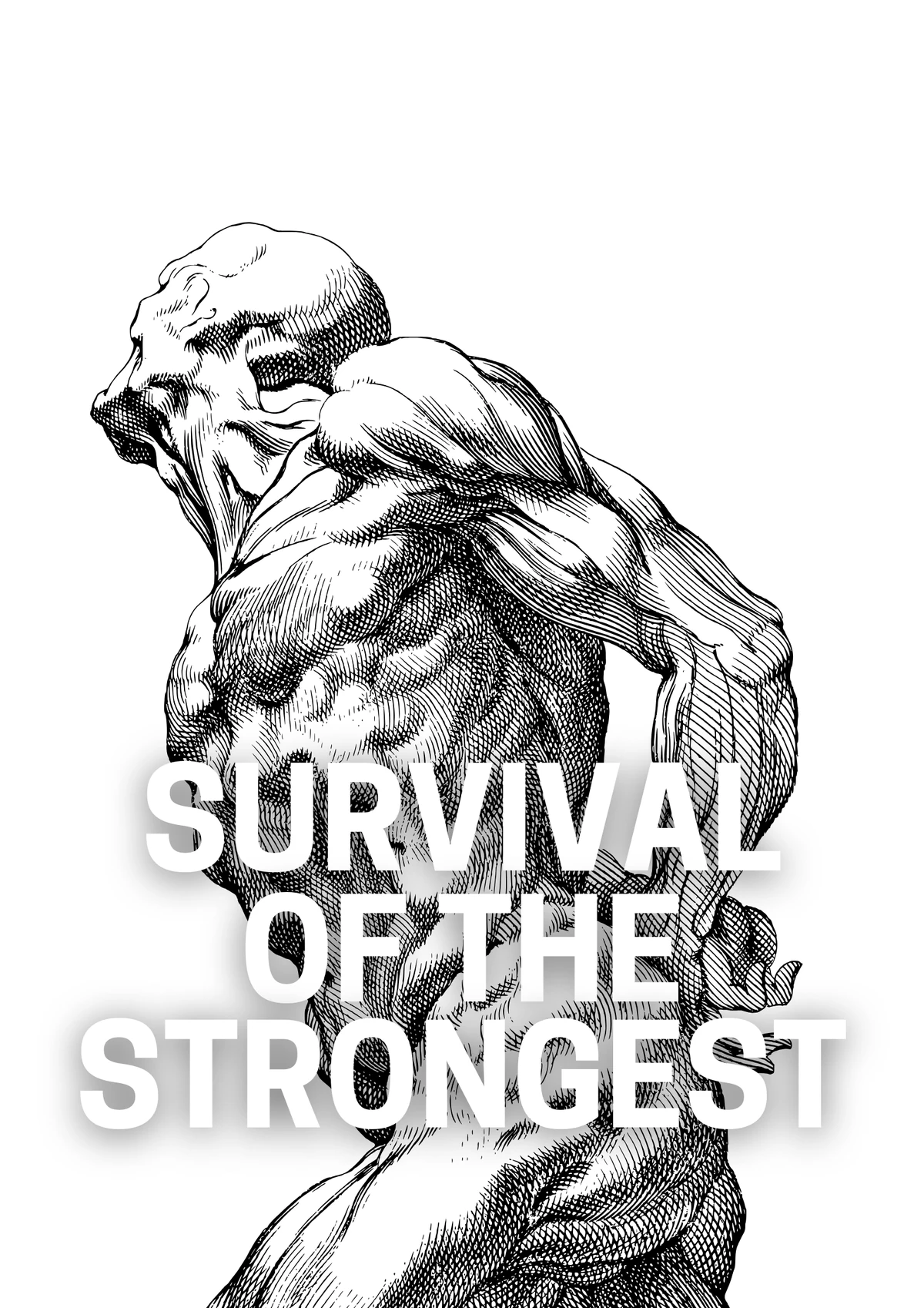 Survival of the Strongest | Anime Fanon | Fandom