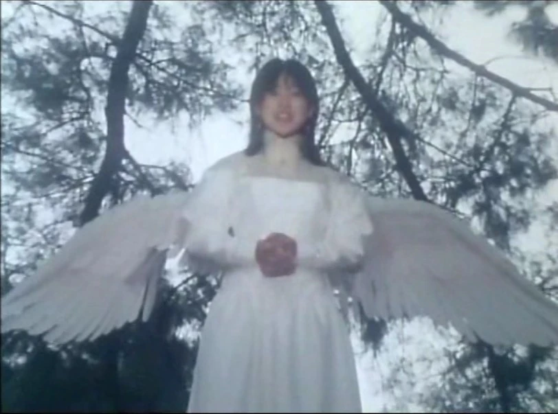 Power Rangers Constellation Force Characters | AnimeIdeas Wiki | Fandom