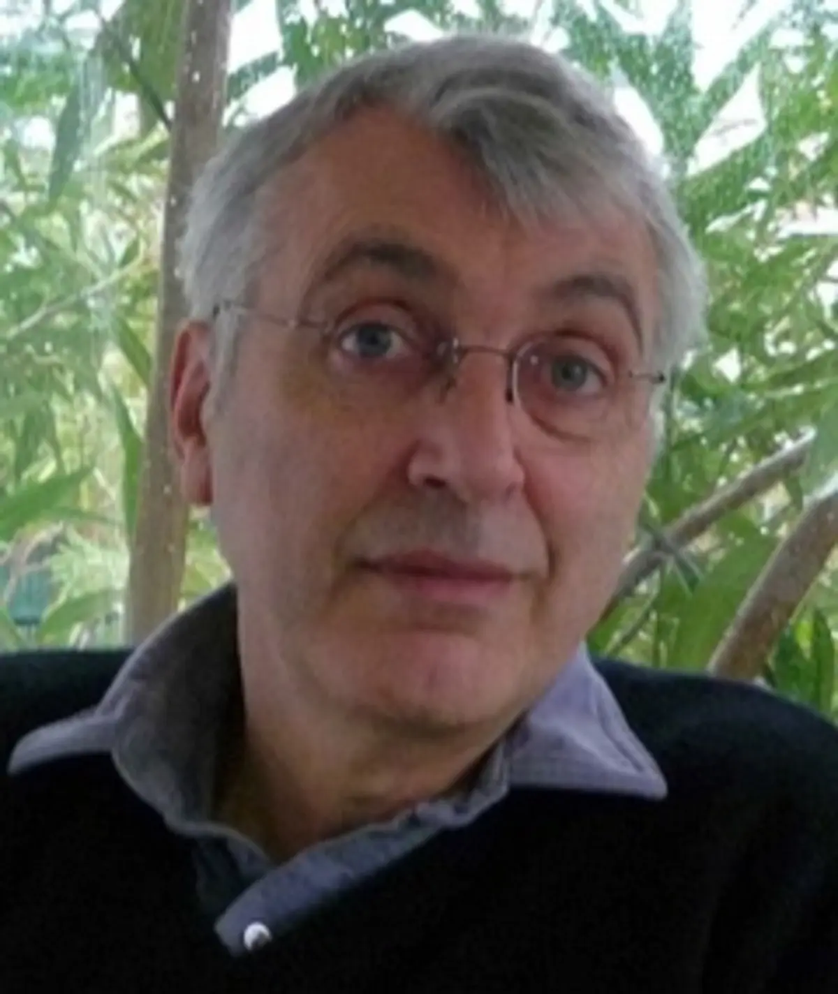 Phil MULLOY | Wiki Animeland Index | Fandom