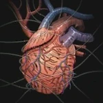 Juken Ryu | Jutsu Wiki | Fandom