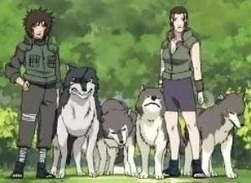 Clan Inuzuka | Wiki Naruto | Fandom