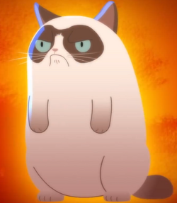 Grumpy Cat | Animeme Wiki | Fandom