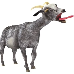 Pilgor | Animera-Crew Wiki | Fandom