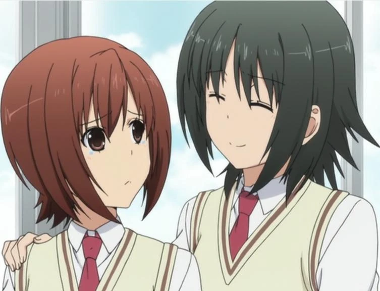 Minami-ke | AnimeTears Wiki | Fandom