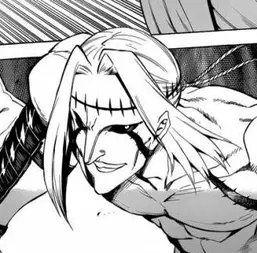 Akame Ga Kill | Crossverse Wiki | Fandom